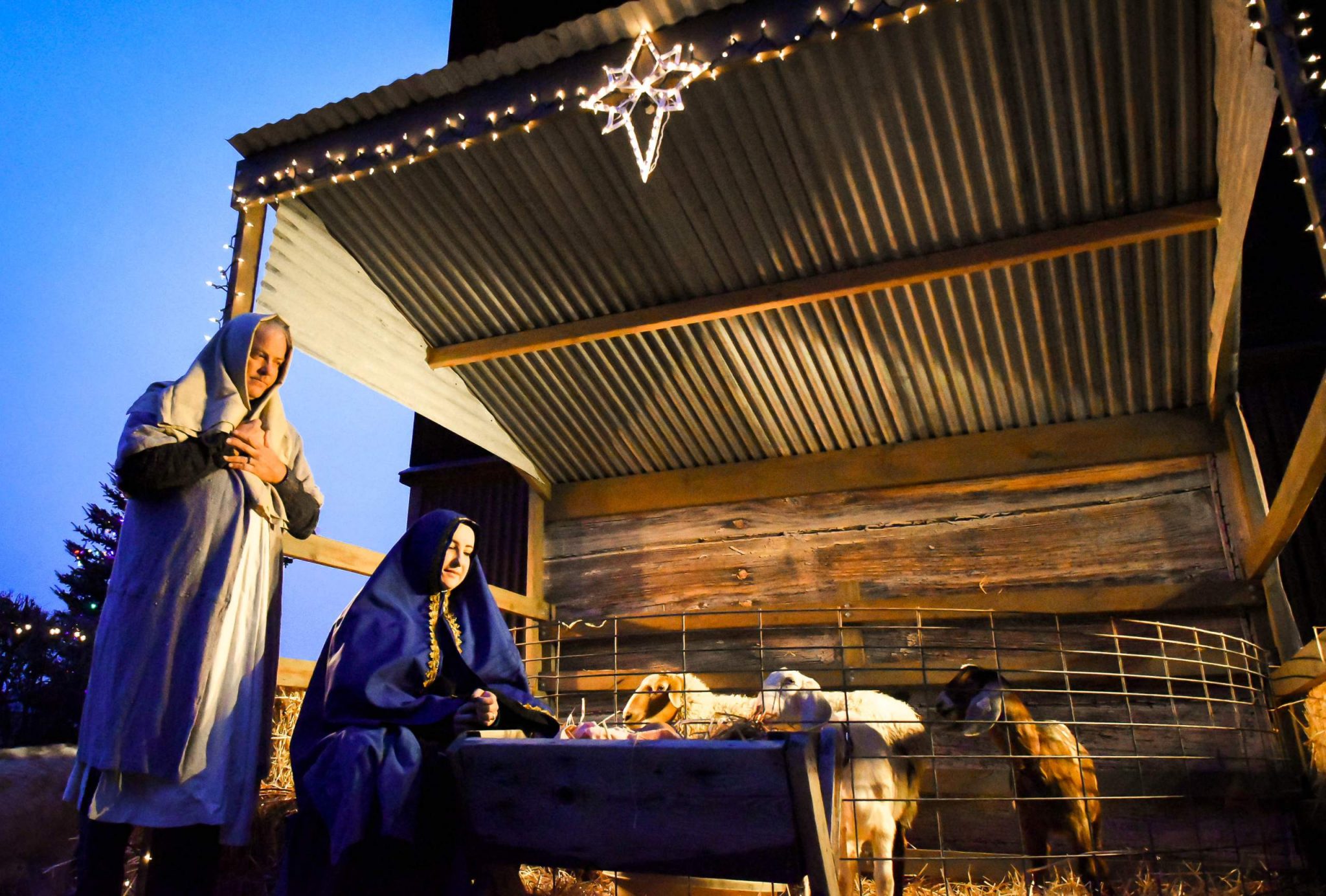 Carbondale church’s Christmas service is a spectacle of glitz and straw ...