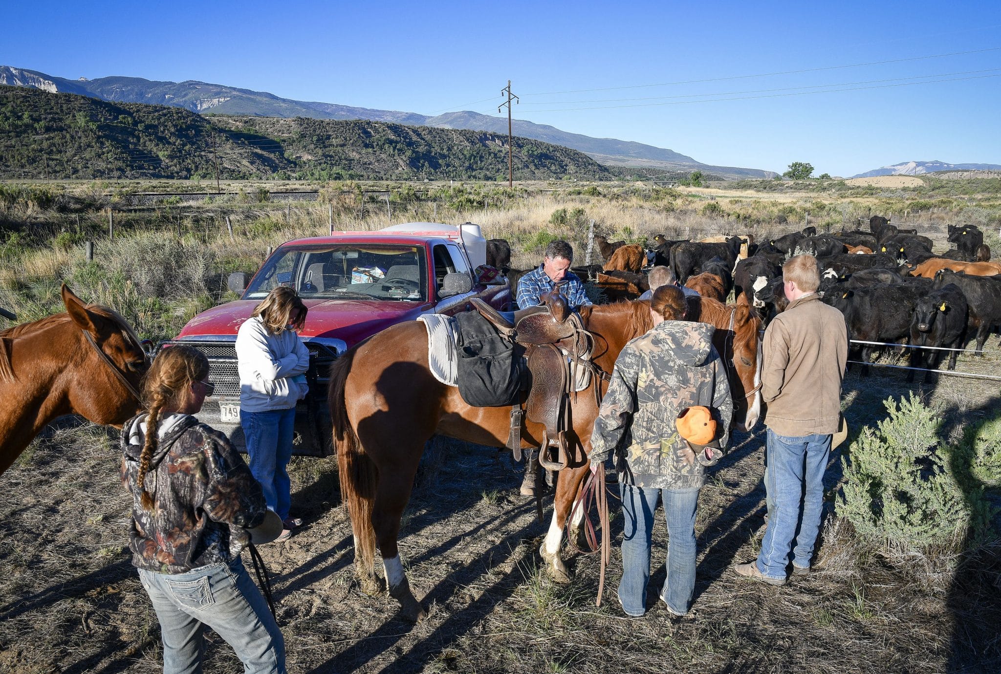 Photo Essay: A cattle drive to remember | PostIndependent.com