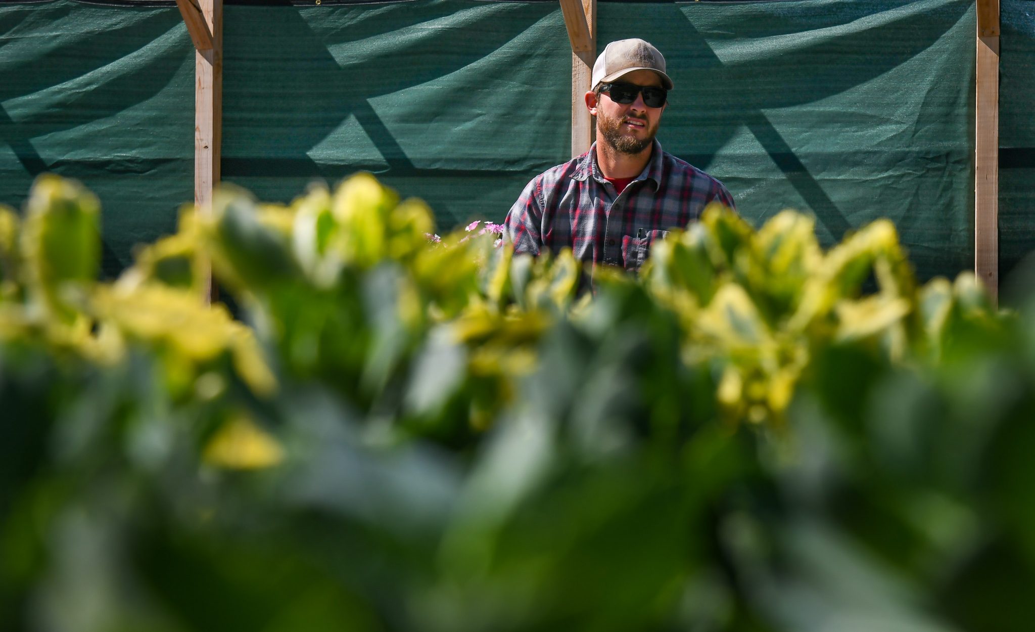PHOTOS: Spring prep at West Canyon Nurseries | PostIndependent.com