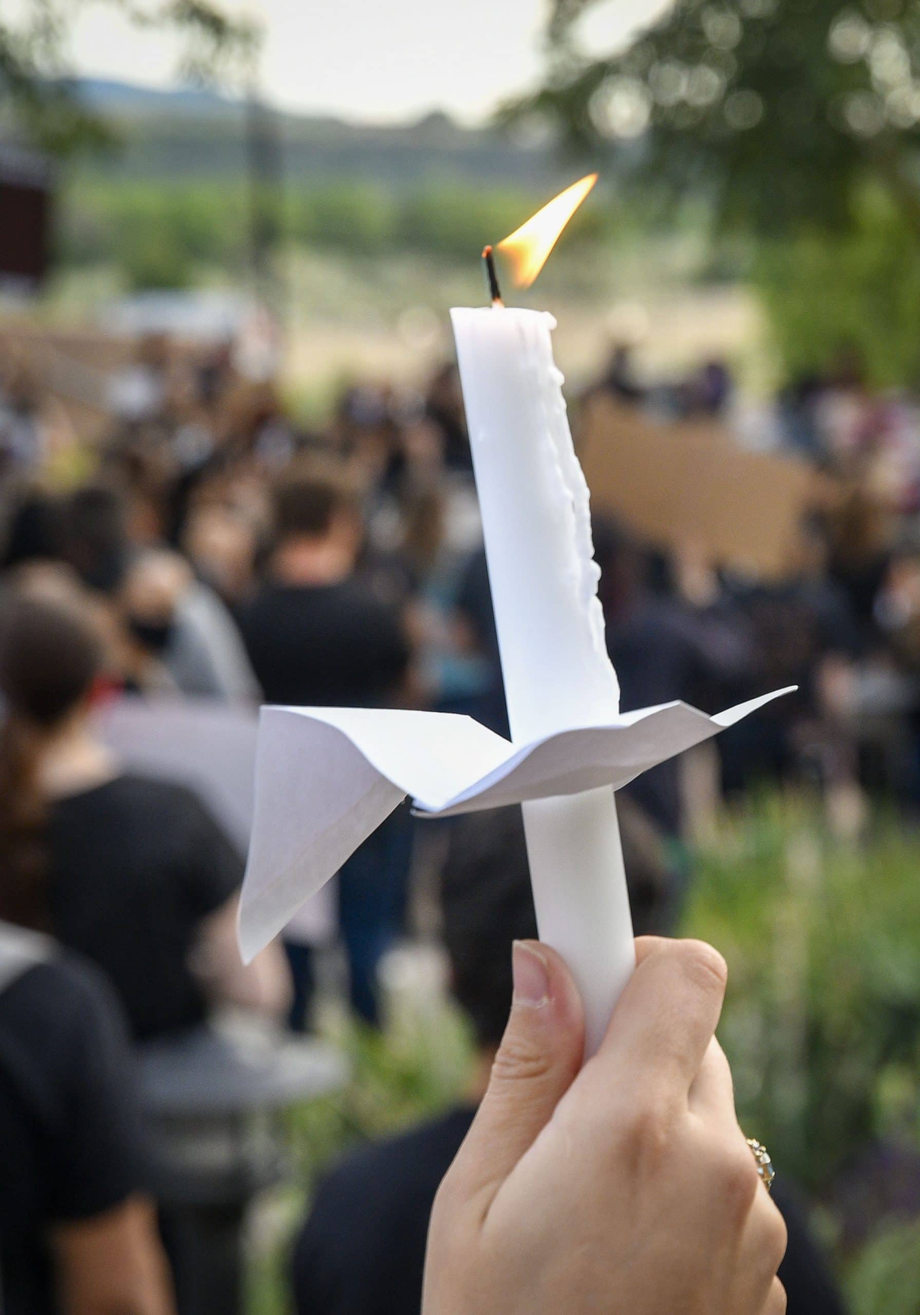 Photo Essay: A peaceful stand | PostIndependent.com