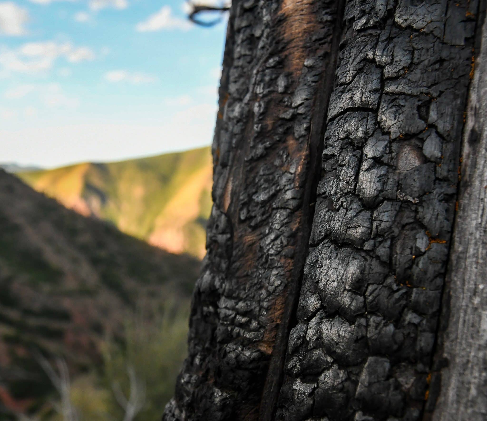 PHOTOS: Remembering the Storm King 14 | PostIndependent.com