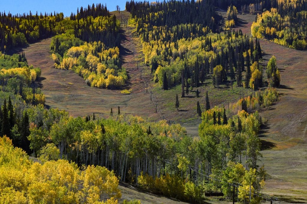 PHOTOS: Fall foliage 2020 | PostIndependent.com