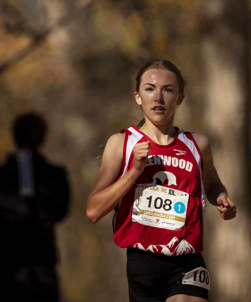 Johnson, Connerton-Nevin score top-10 finishes at 4A state cross ...