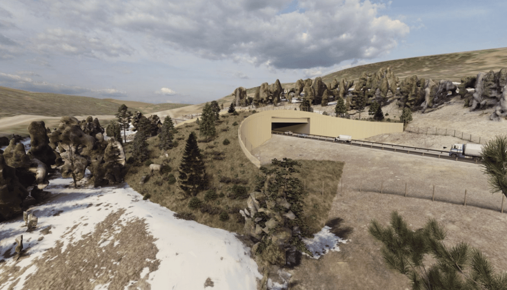 Summit County Safe Passages begins campaign to build wildlife crossings ...