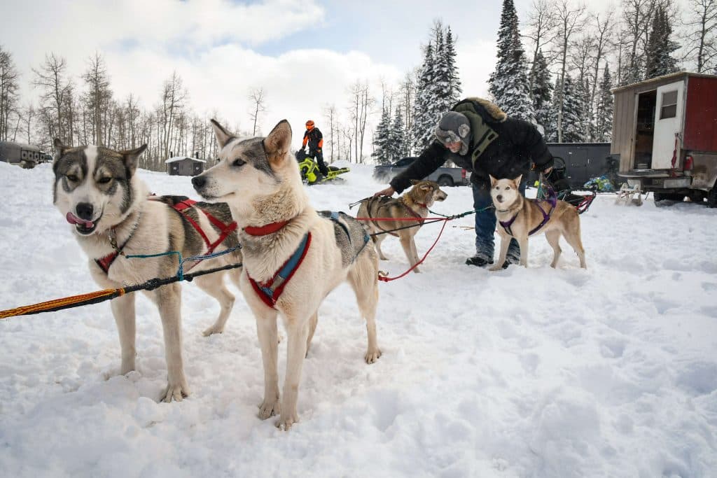 PHOTOS: From ski instructor to dog musher; exploring the Flat Tops with ...