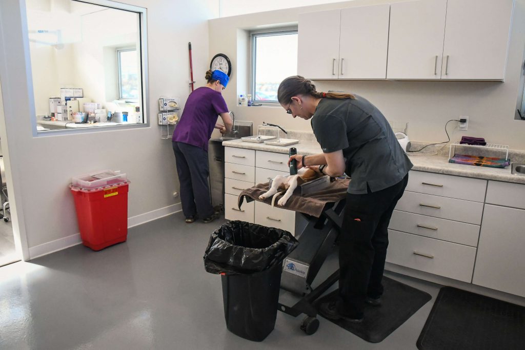 PHOTOS: Rifle shelter animals begin their journey home at new care ...