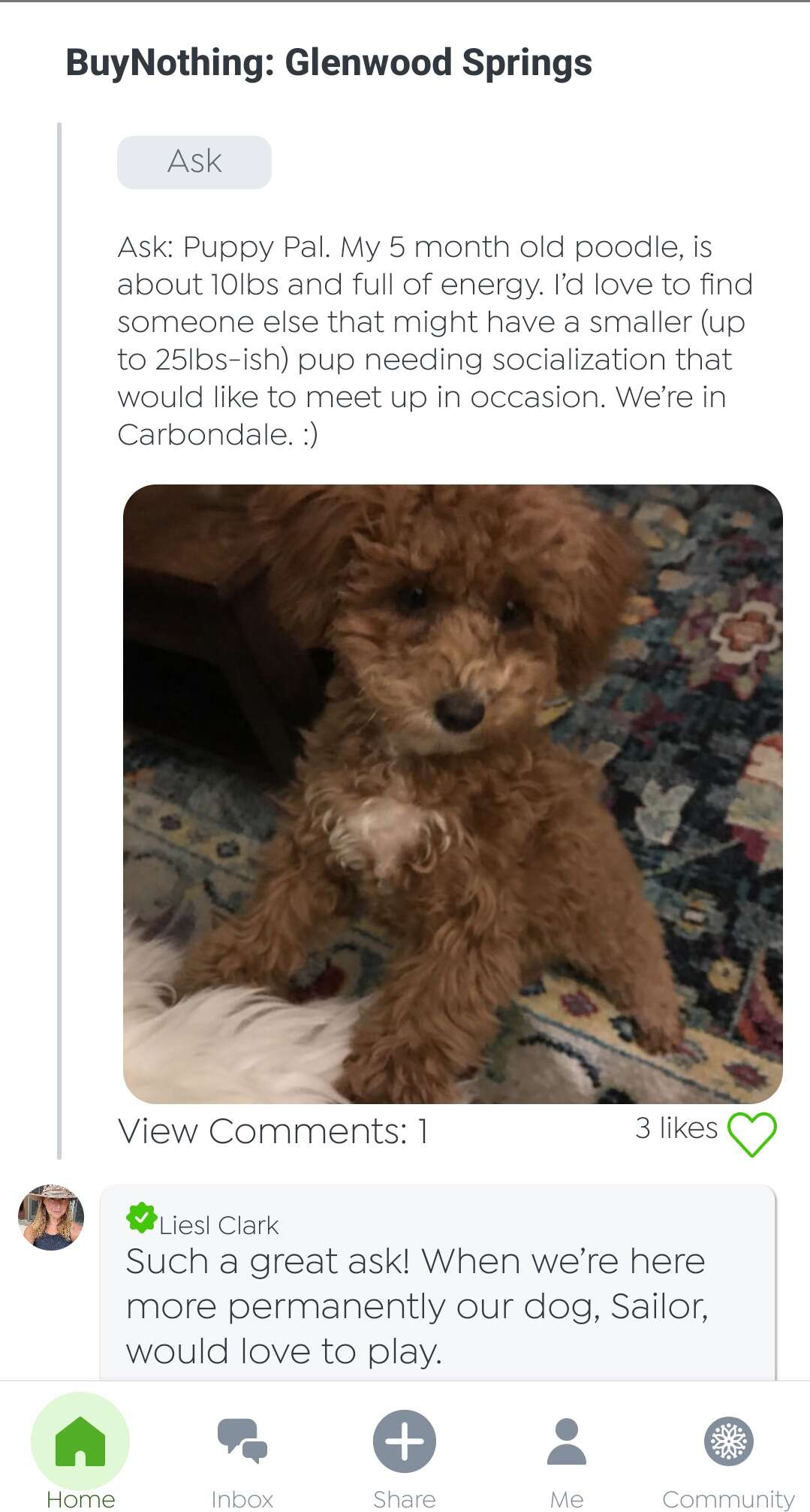 In the Roaring Fork Valley and beyond, Buy Nothing Project getting ...