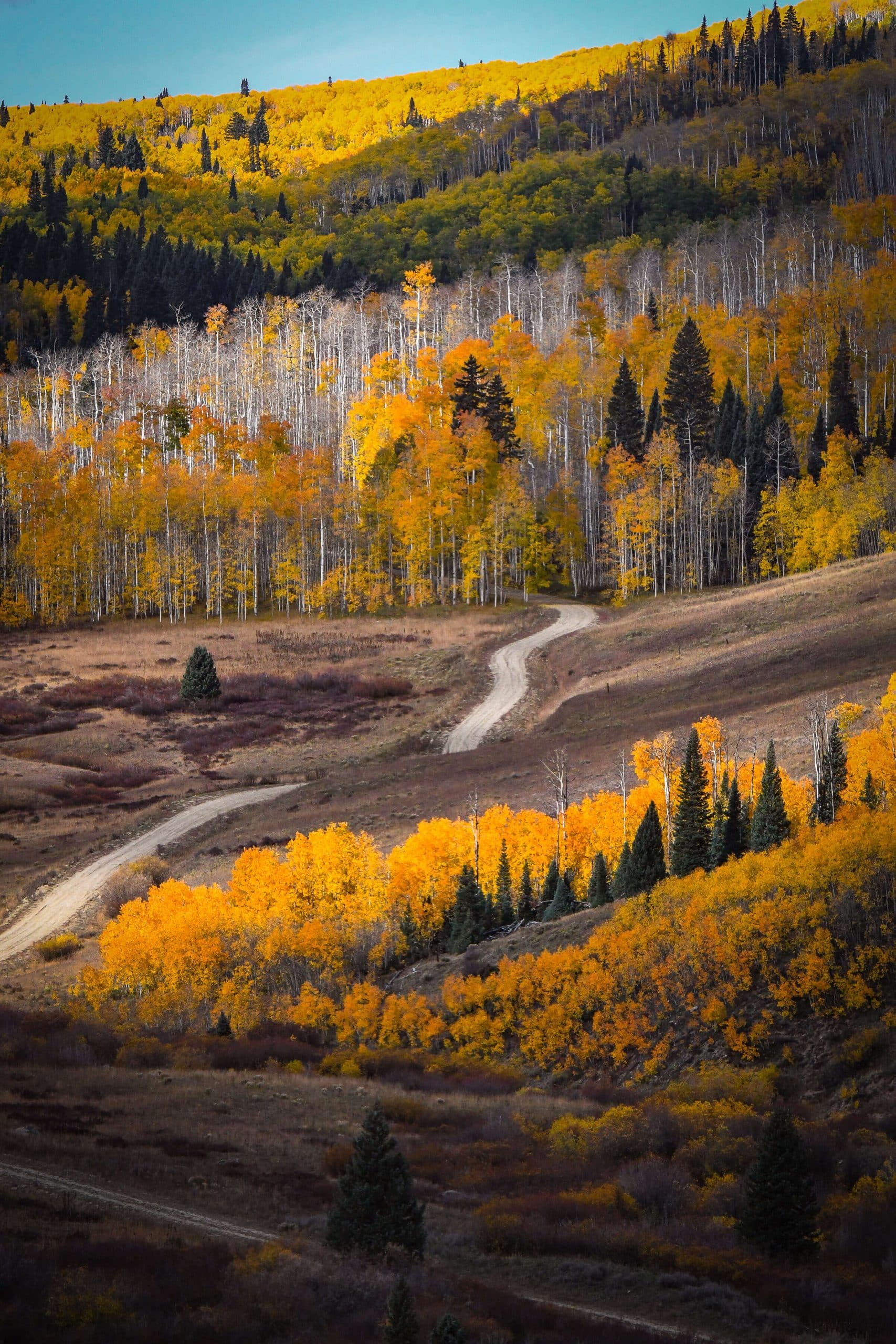 Go & Do: Turn over a new leaf — places in Garfield County to enjoy the ...