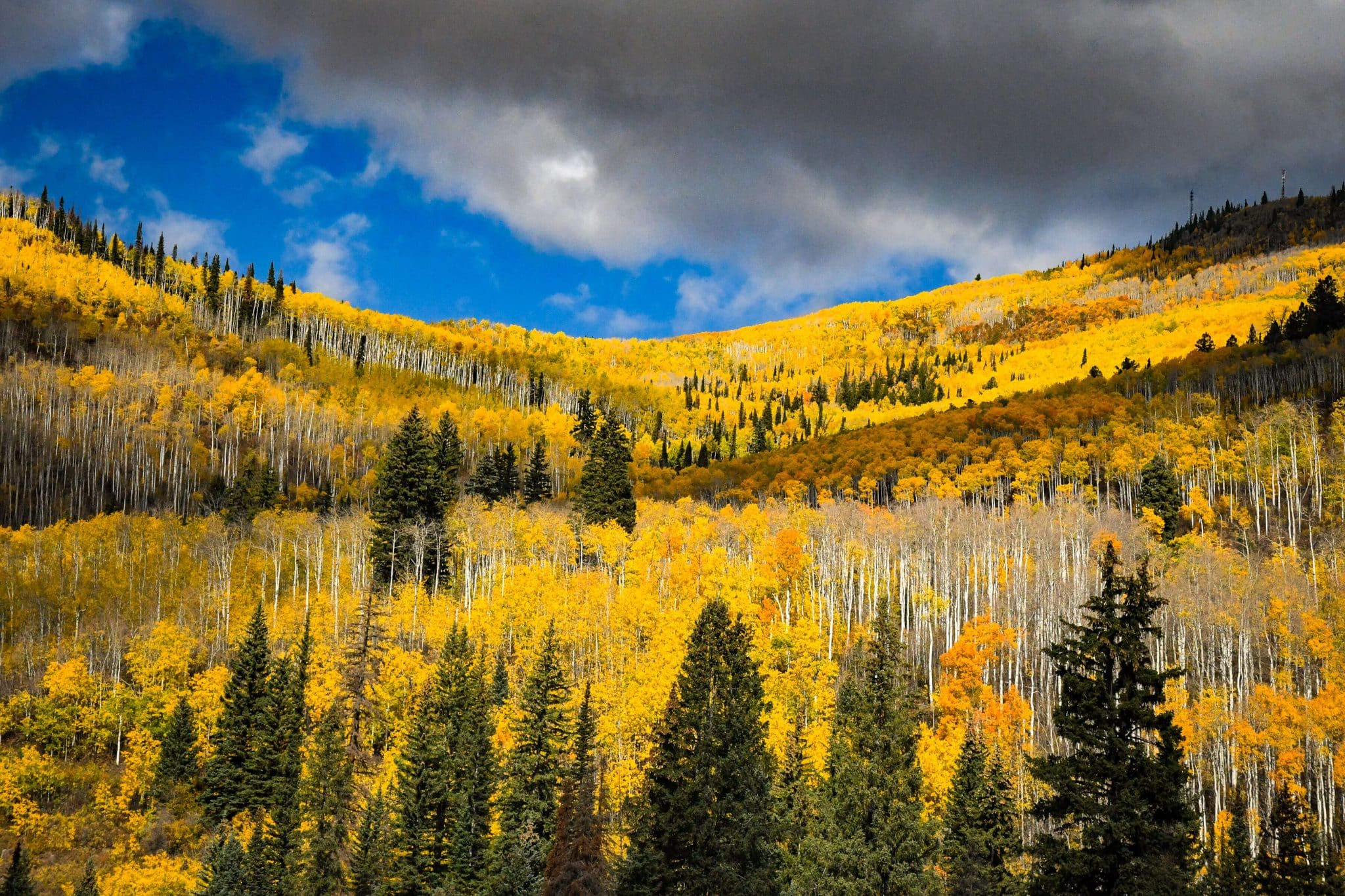 Go & Do: Turn over a new leaf — places in Garfield County to enjoy the ...