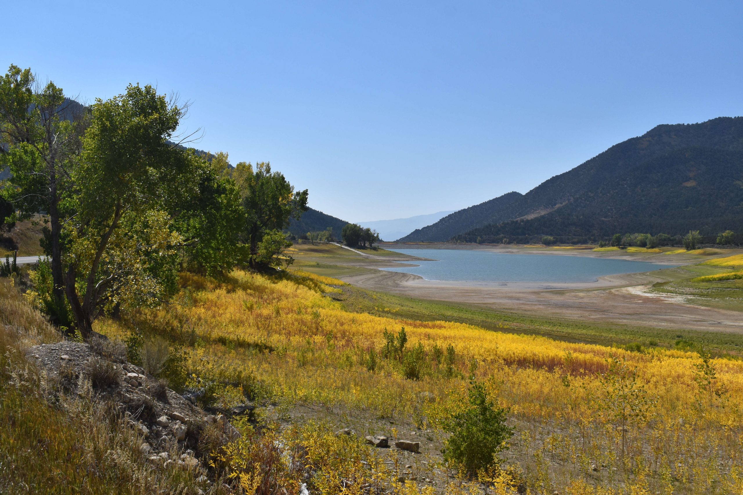 PHOTOS: Fall forage, colors on display in Garfield County ...