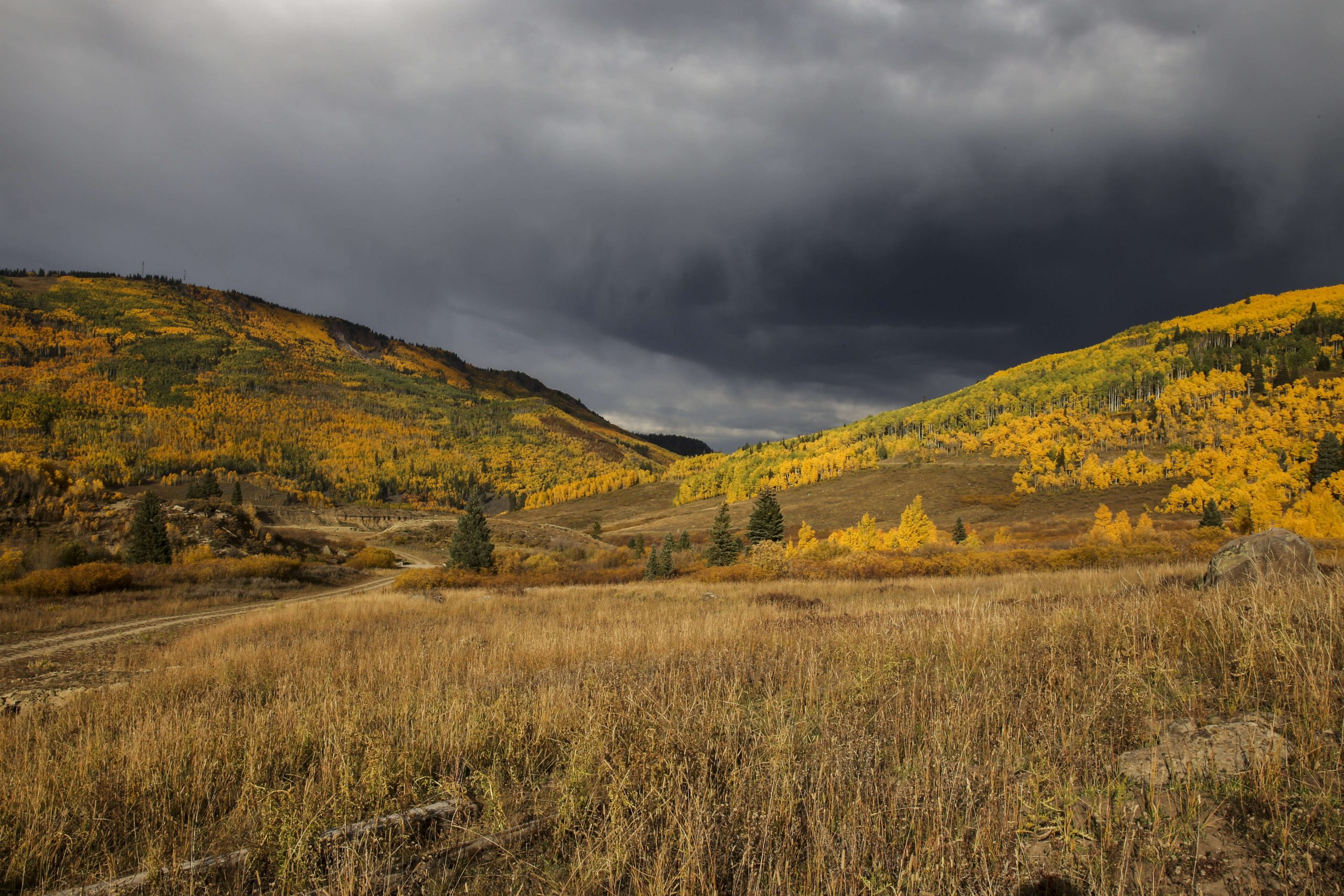 PHOTOS: Fall forage, colors on display in Garfield County ...