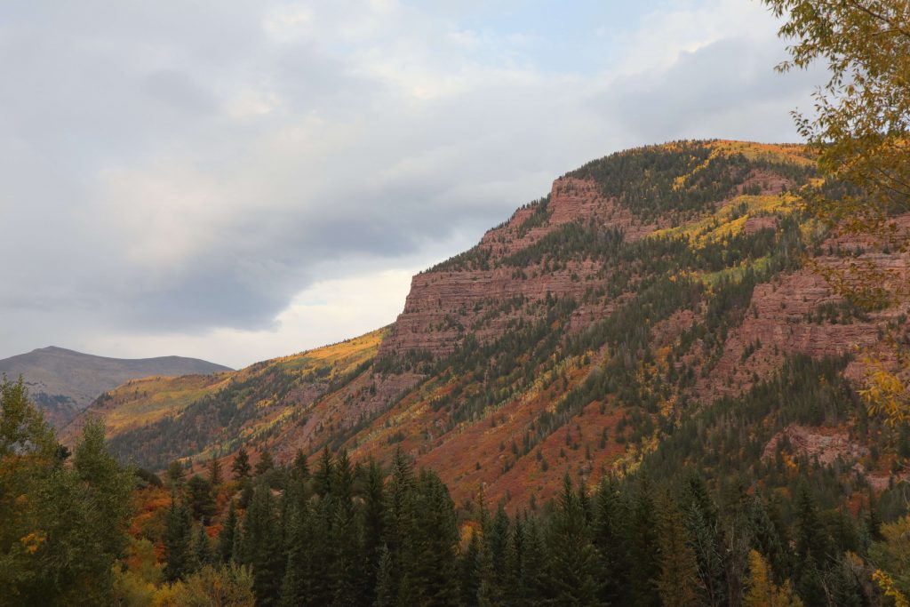 PHOTOS: Fall forage, colors on display in Garfield County ...
