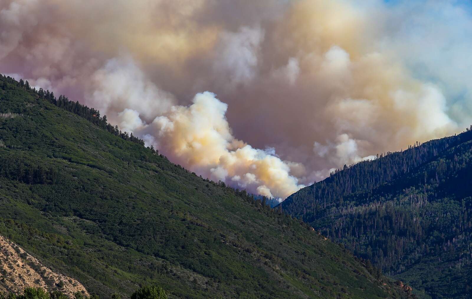 Sylvan Fire updates: Firefighters make progress as blaze grows to 1,500 ...