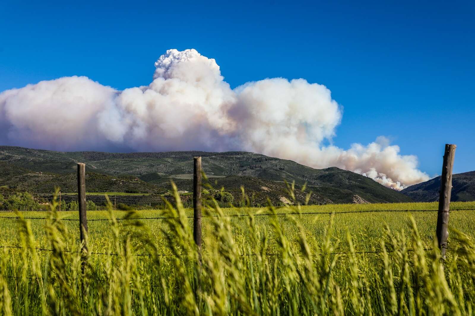 Sylvan Fire updates: Firefighters make progress as blaze grows to 1,500 ...