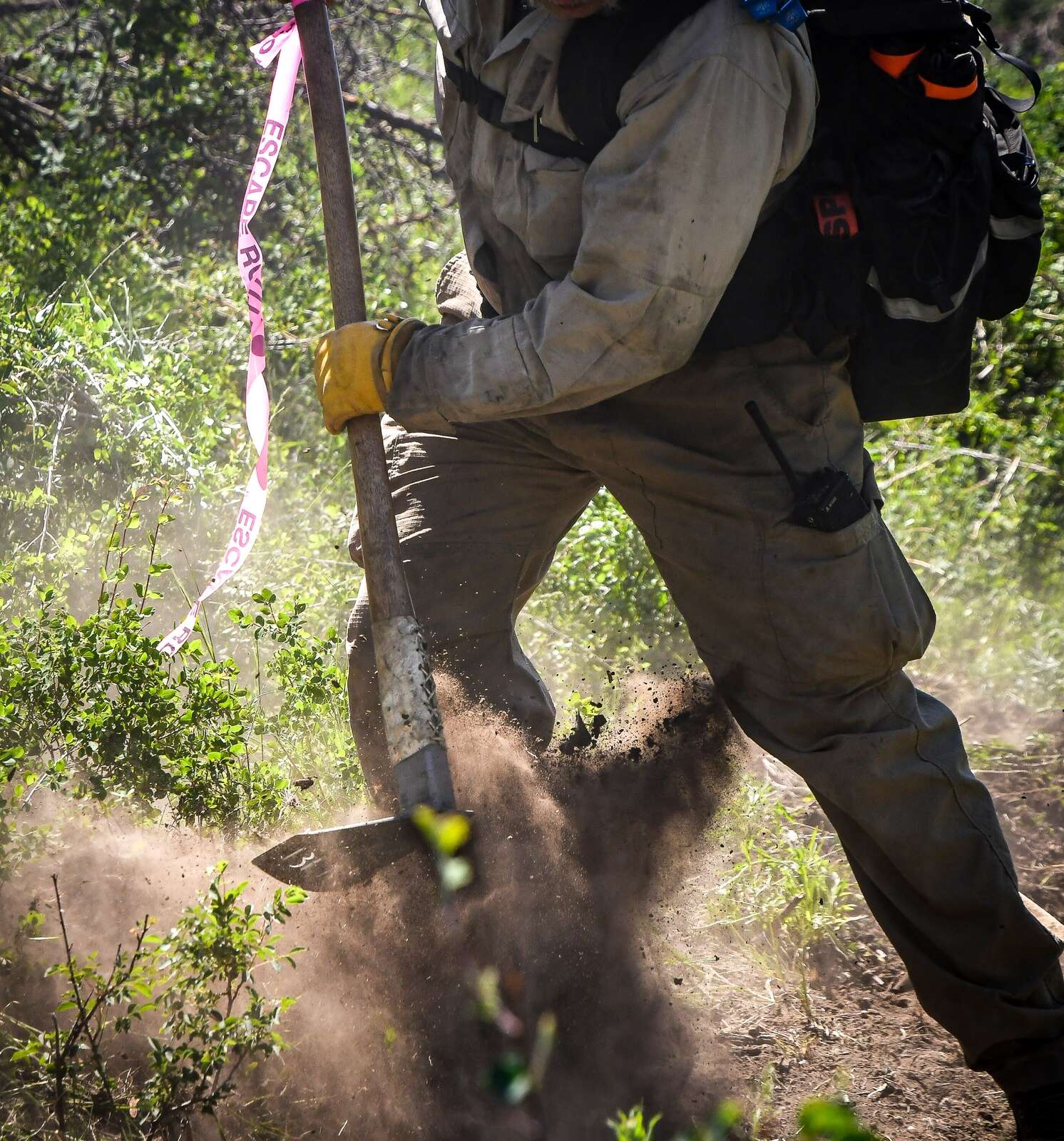 PHOTOS: Wildland firefighters train for the 2021 season ...