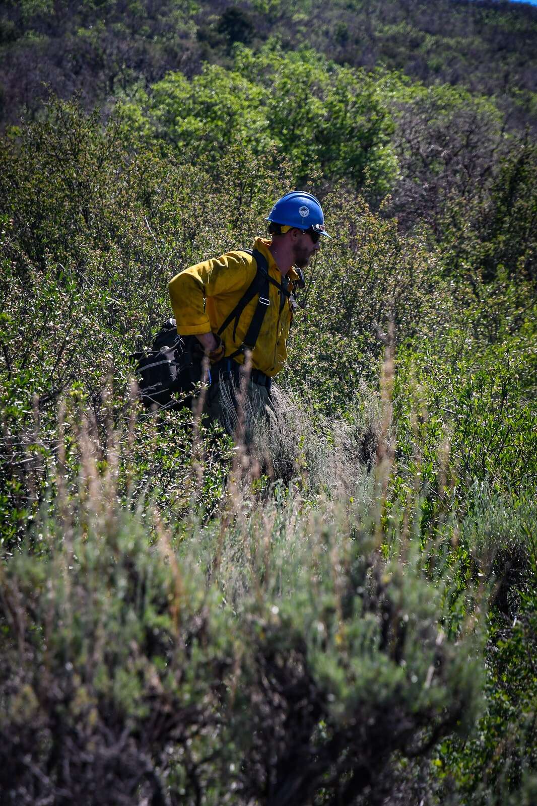 PHOTOS: Wildland firefighters train for the 2021 season ...
