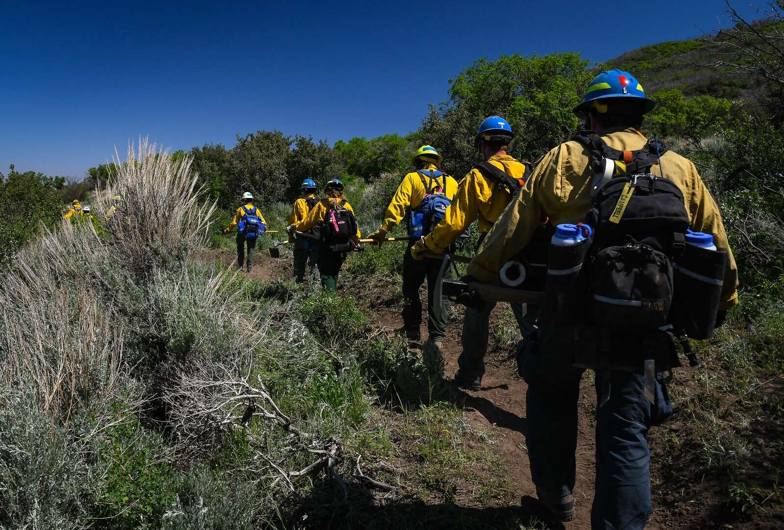 PHOTOS: Wildland firefighters train for the 2021 season ...