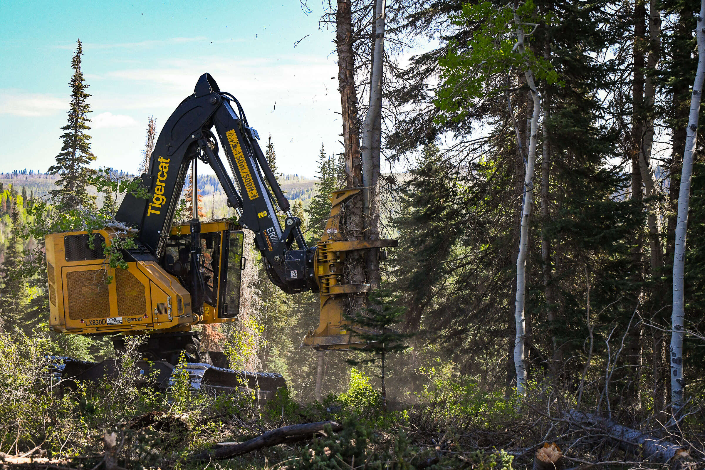 Logging operations underway to increase aspen health in White River ...