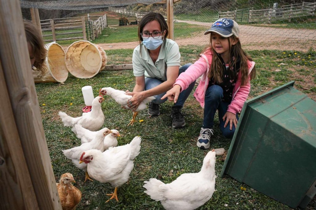 PHOTOS: Kids interact and learn agricultural living at Rooted in Nature ...