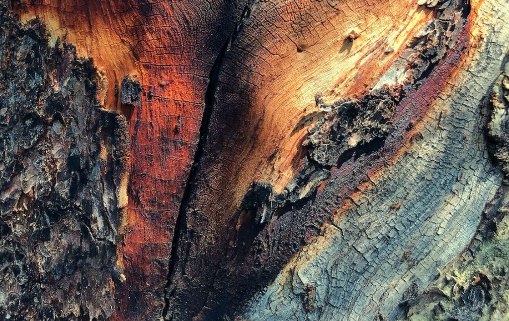 NESTed art gallery in Carbondale showcases the intersection between art ...