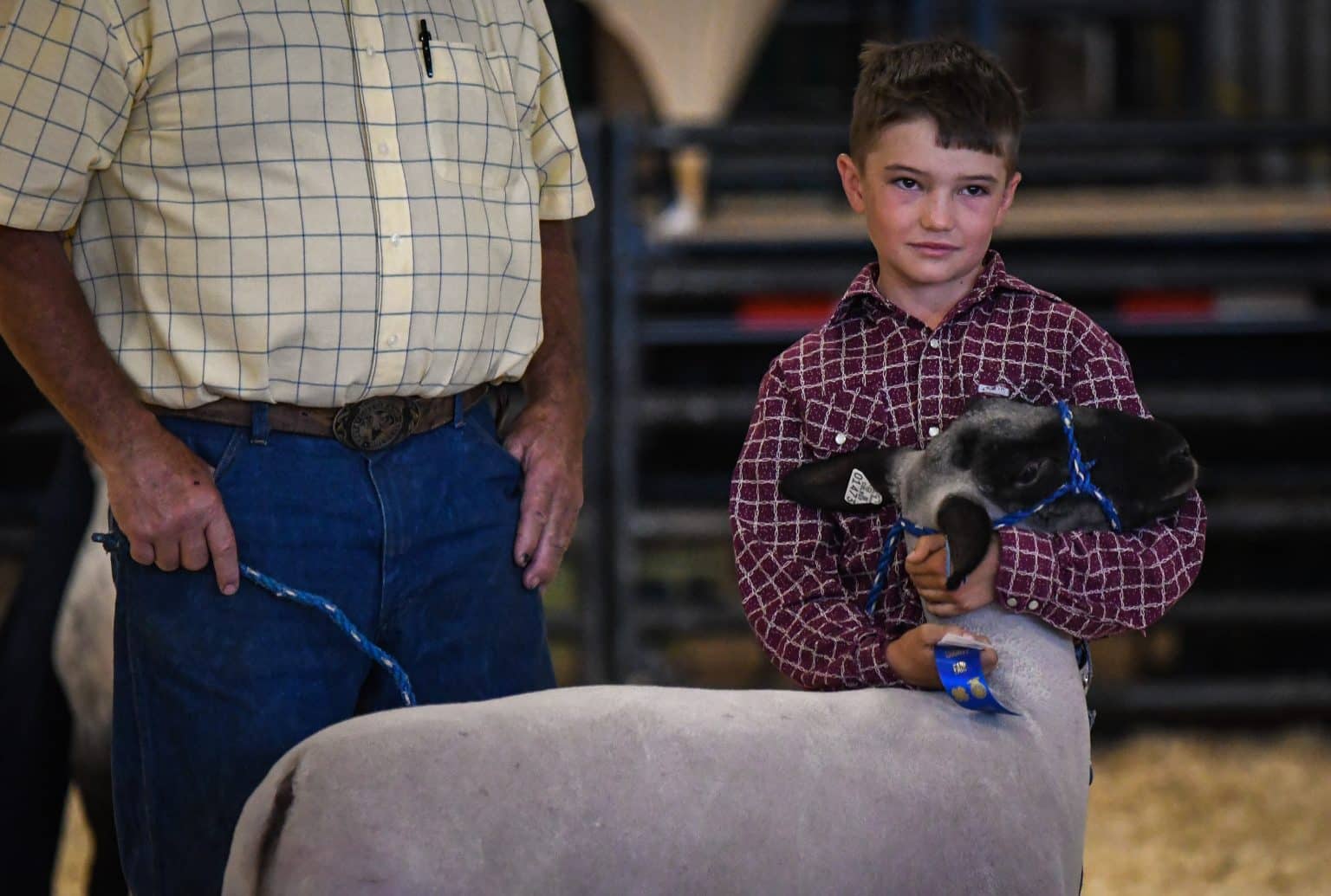 PHOTOS: 2022 Garfield County Fair lamb and goat shows | PostIndependent.com
