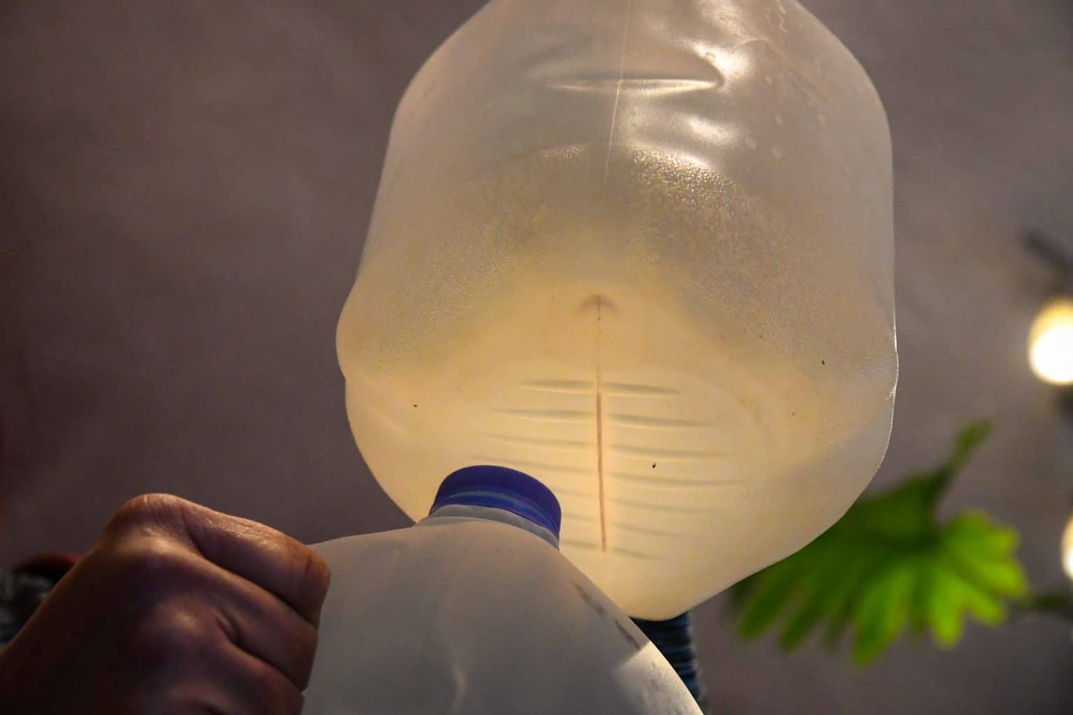 State says Apple Tree Park water quality improved after concerns raised ...