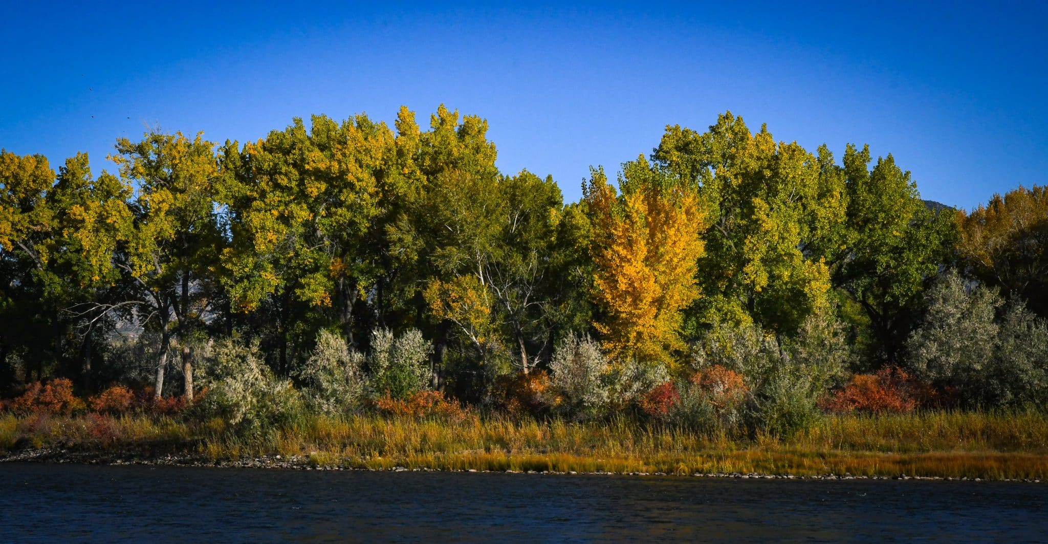 PHOTOS: Soaking in the last bit of Garfield County’s fall colors ...