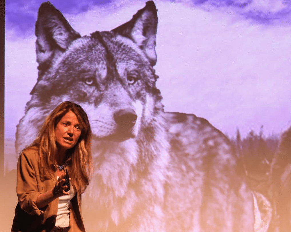 Wolf introduction Q&A packs house at Aspen’s Wheeler Opera House ...