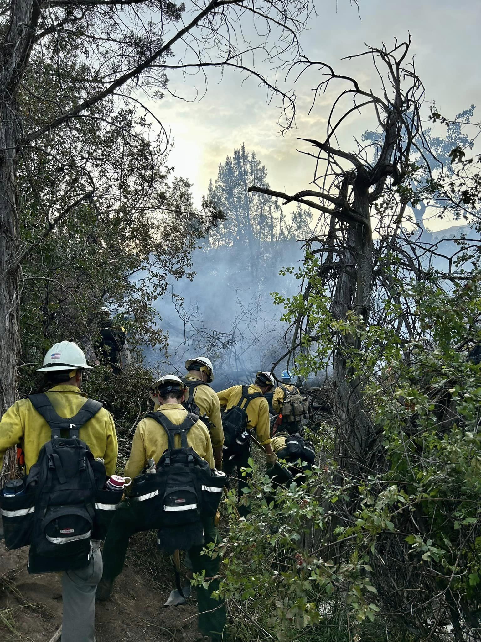 Sunday morning: Air, ground crews continue to quell brush fire west of ...