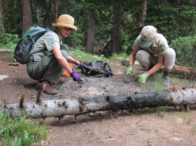 Mighty force of volunteers are behind the Forest Conservancy’s success ...