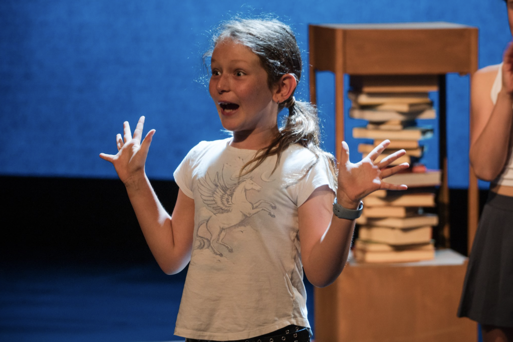 Theatre Aspen Education presents ‘Shrek the Musical Jr ...