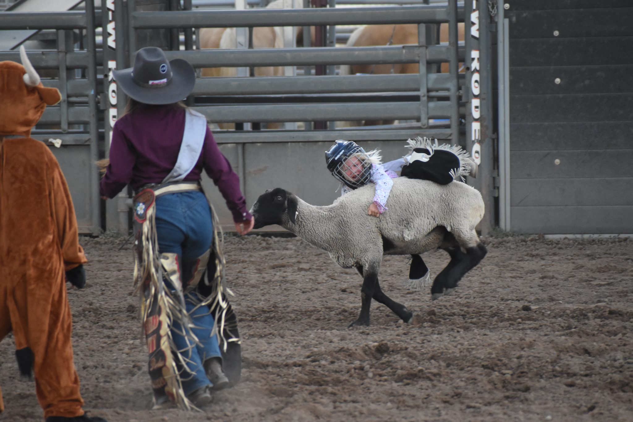 PHOTOS: Younger ones blast out the chutes at Garfield County Fair and ...