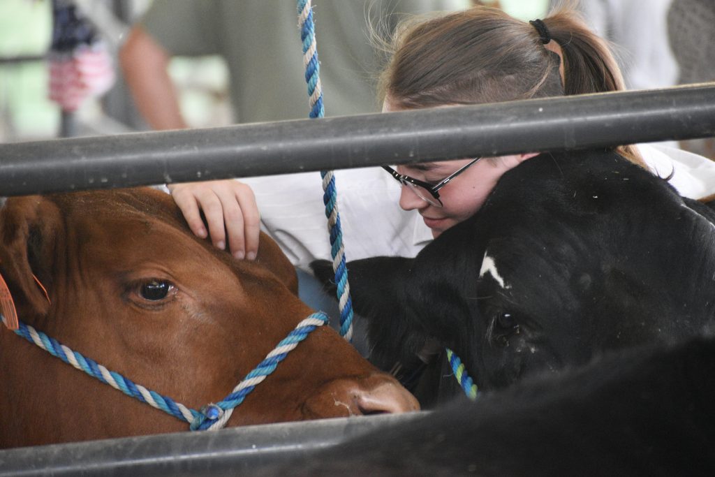 PHOTOS: Garfield County Fair and Rodeo comes to a close ...