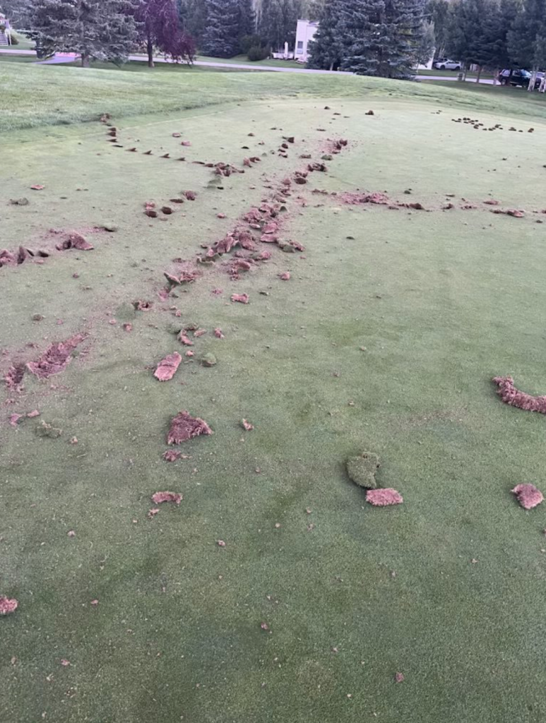 Vandalism on the EagleVail golf course causes at least $15,000 in ...
