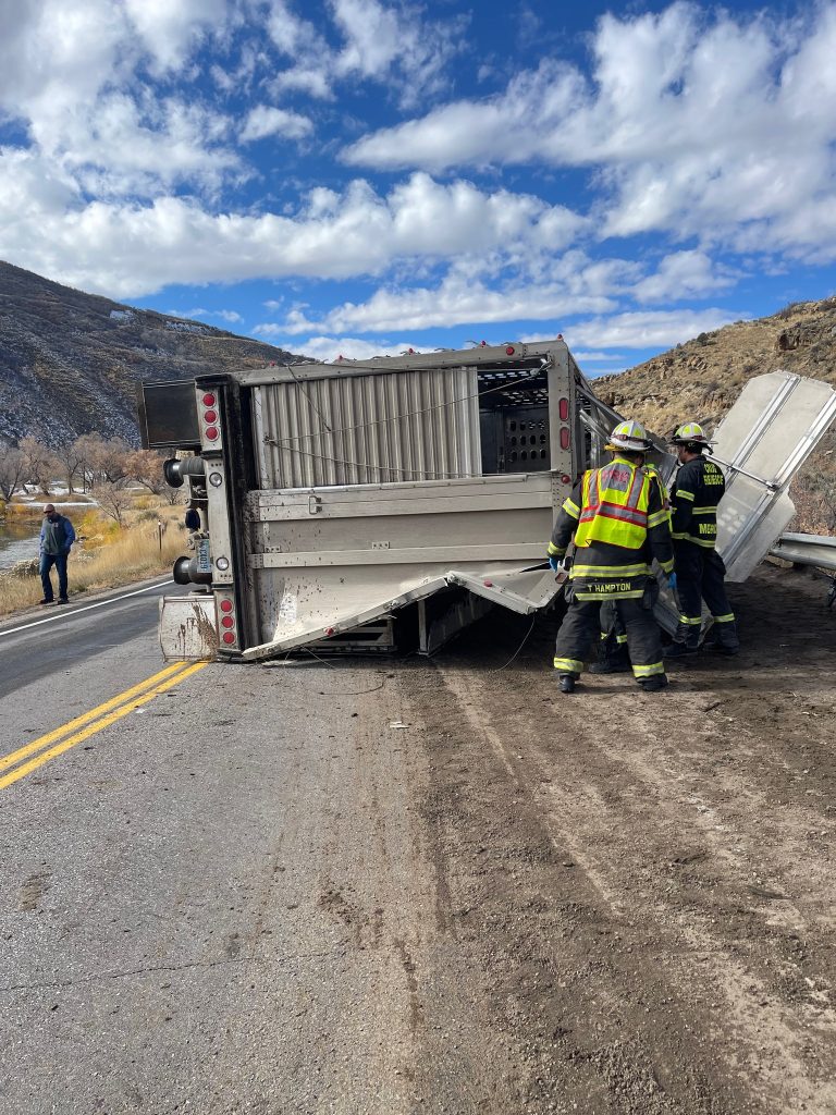 Semi truck hauling almost 100 cattle overturns in Northwest Colorado ...