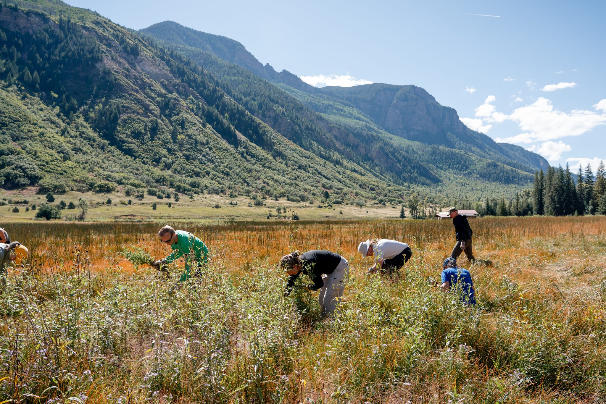 It’s not just Parks and Rec keeping our lands healthy and clean, RFOV ...