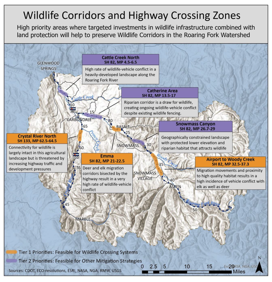 Momentum builds for wildlife crossings in Roaring Fork Valley ...