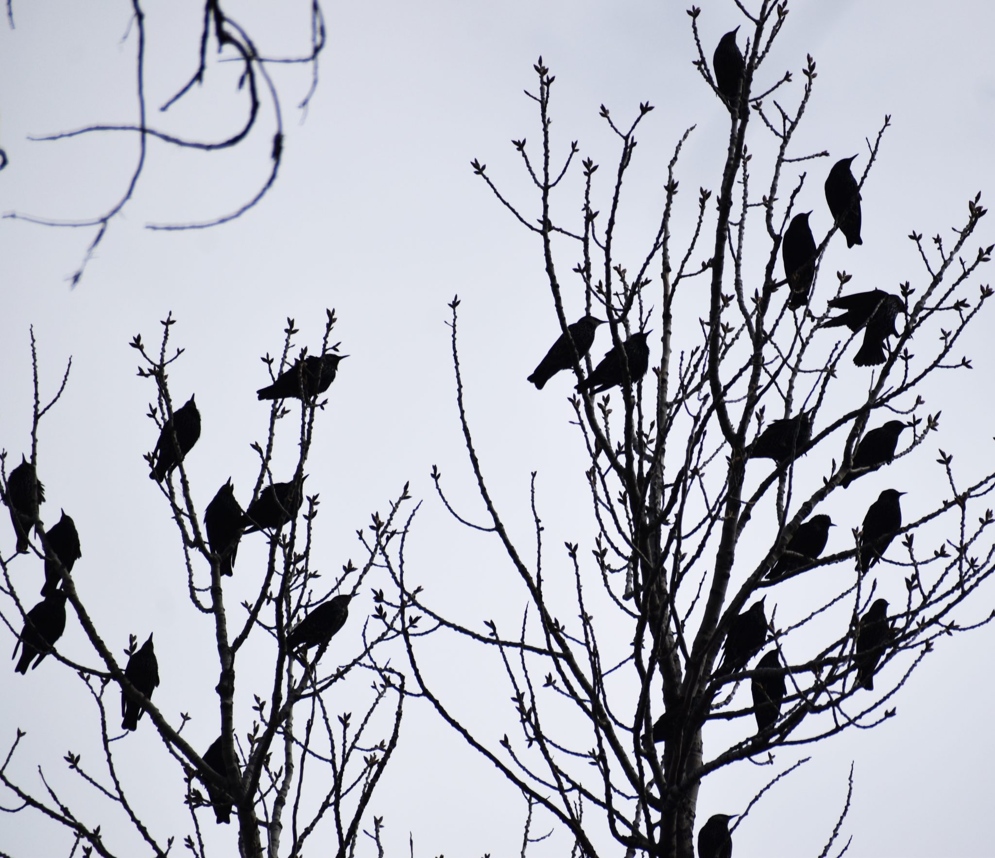 PHOTOS: Right on the edge of changing seasons | PostIndependent.com