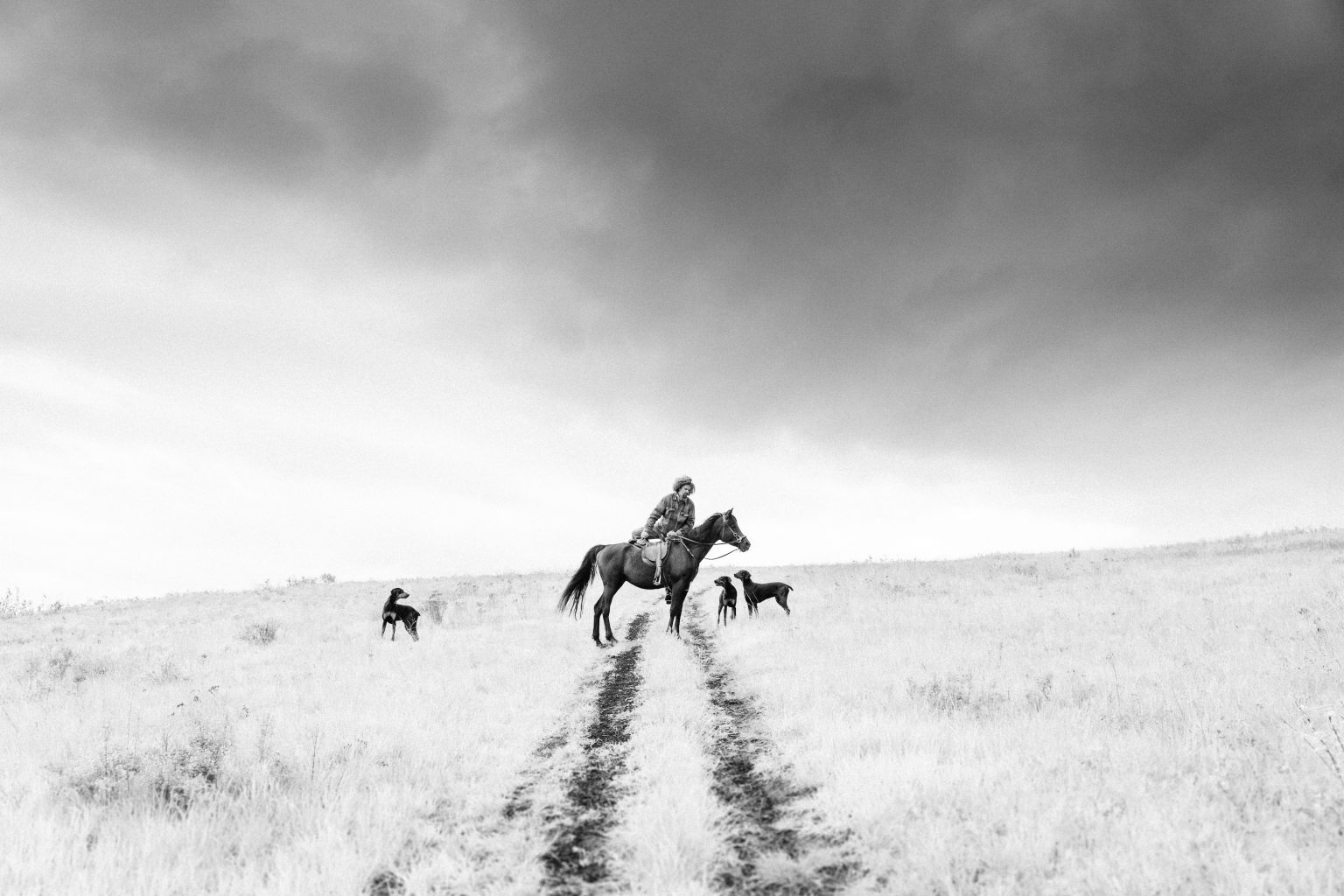 Sierra Club brings ‘Range Rider’ film screening and discussion to ...