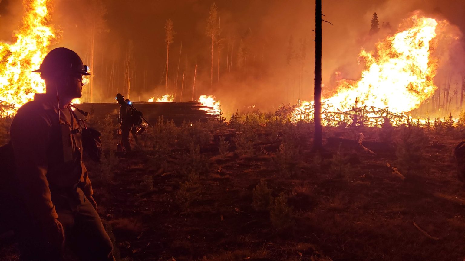 CRFR Wildland Division expands wildfire prevention efforts across Rifle ...