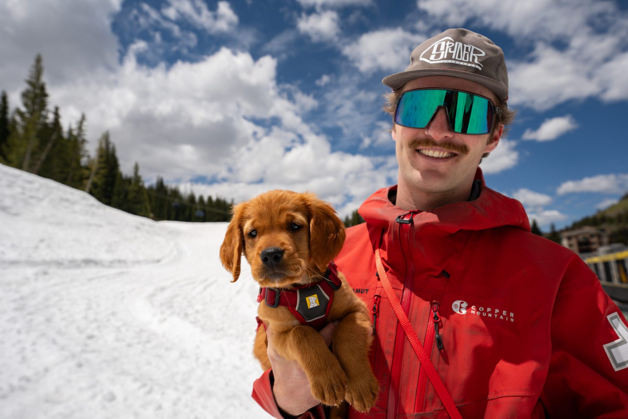 New avalanche puppy begins training at Copper Mountain Resort ...