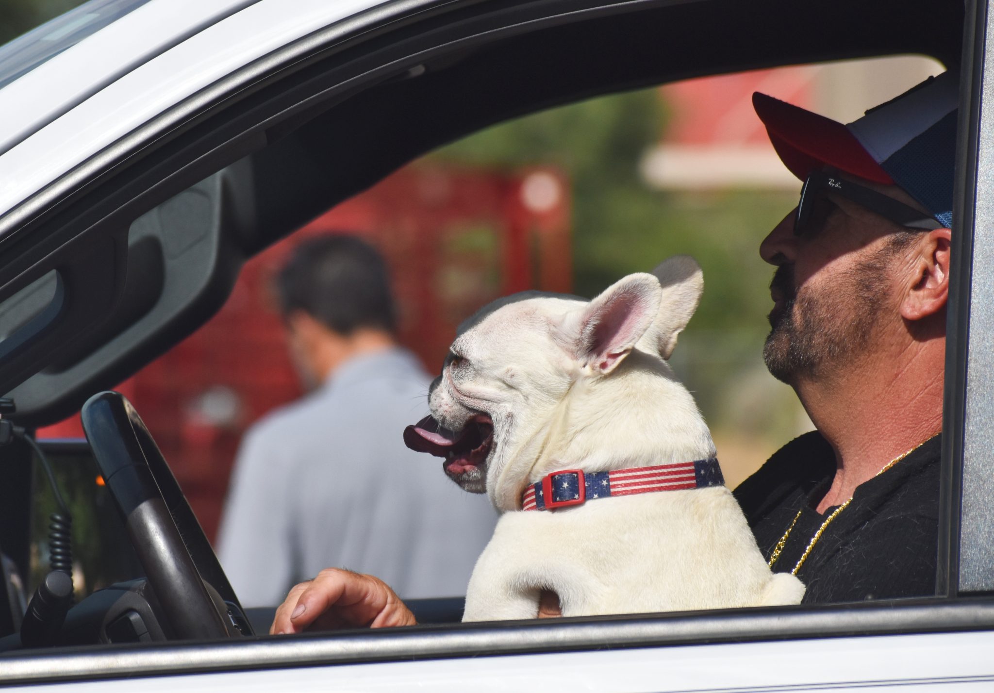 PHOTOS: Rifle celebrates tradition at Garfield County Fair and Rodeo ...