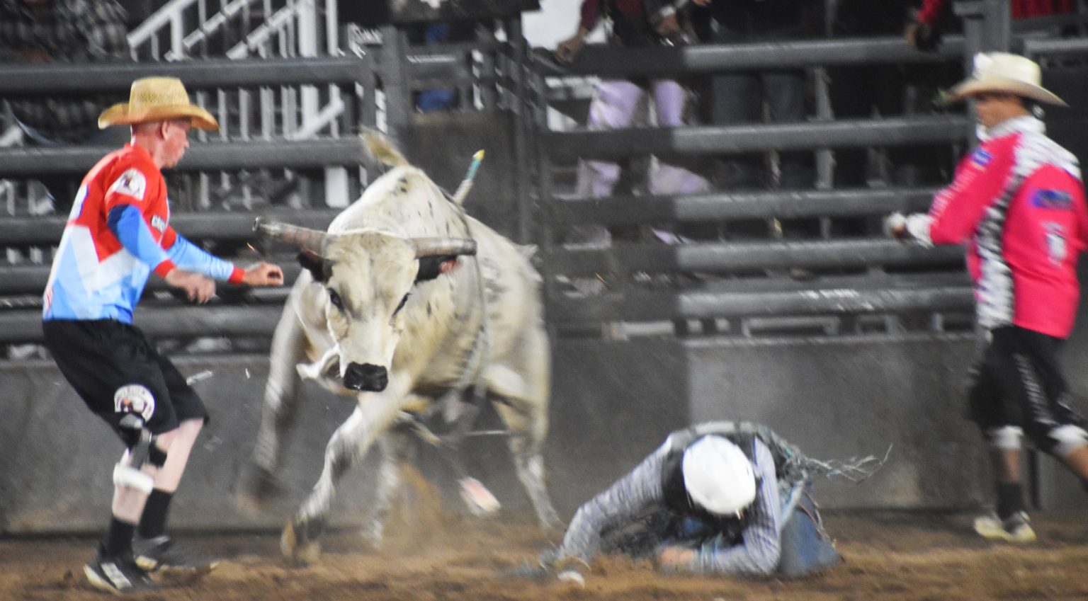 PHOTOS: Garfield County Fair and Rodeo brings community together for ...
