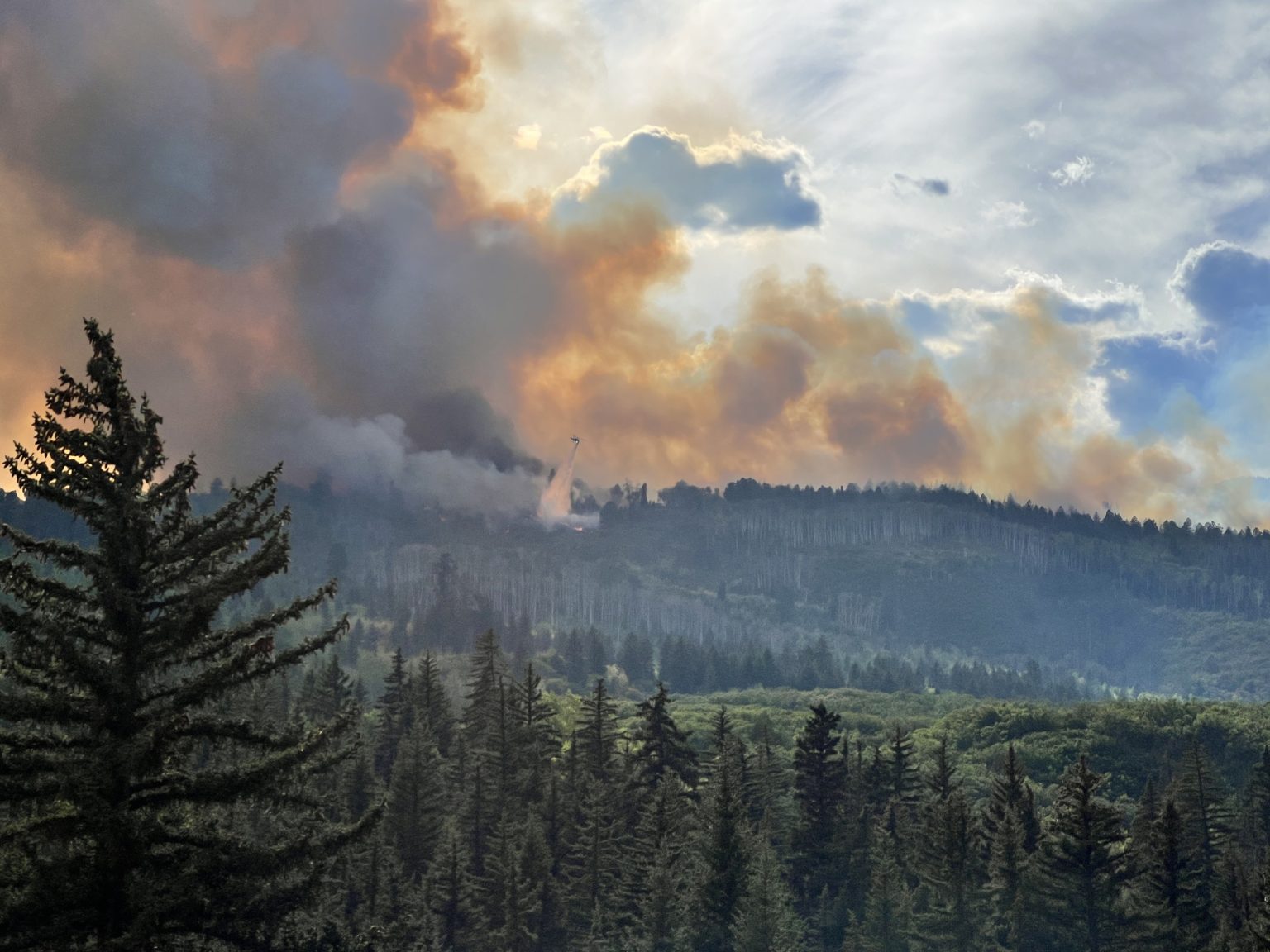 White River National Forest and BLM will lower fire restrictions on ...