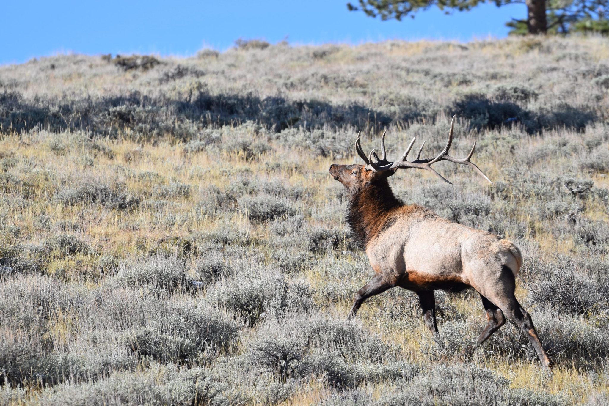 Where does Colorado Parks and Wildlife’s revenue come from ...