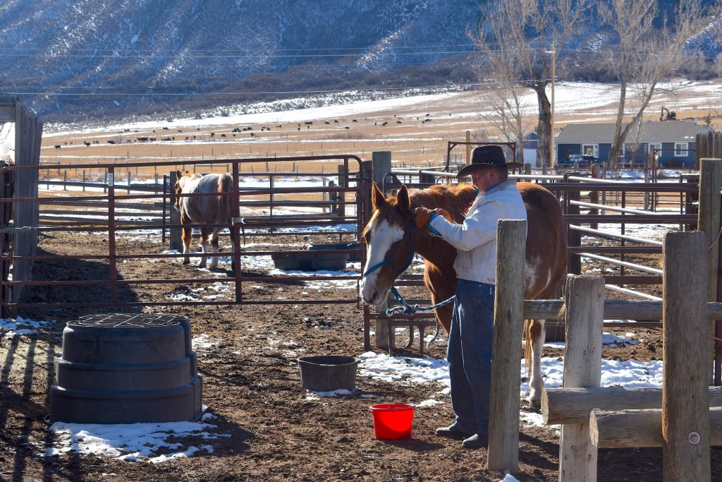 Local rancher and native Coloradan debuts historical adventure novel ...