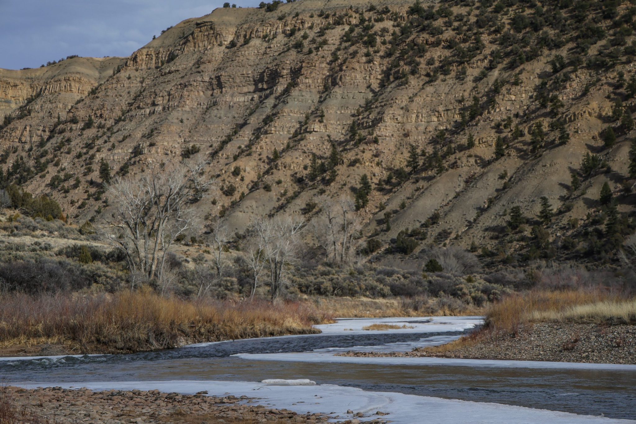 Colorado River forecast warns that just one-third of normal water could ...