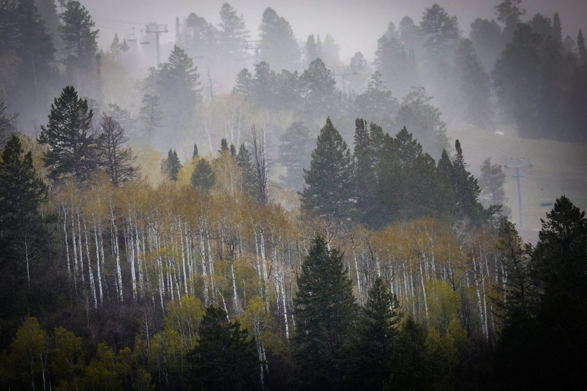 Wildfire risk is rising on Colorado’s Western Slope as strong El Nino ...