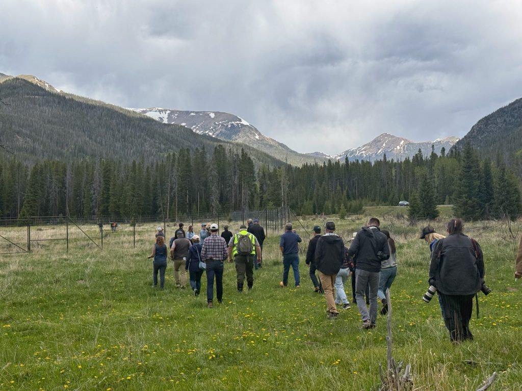What can humans learn from beavers when it comes to drought-proofing ...