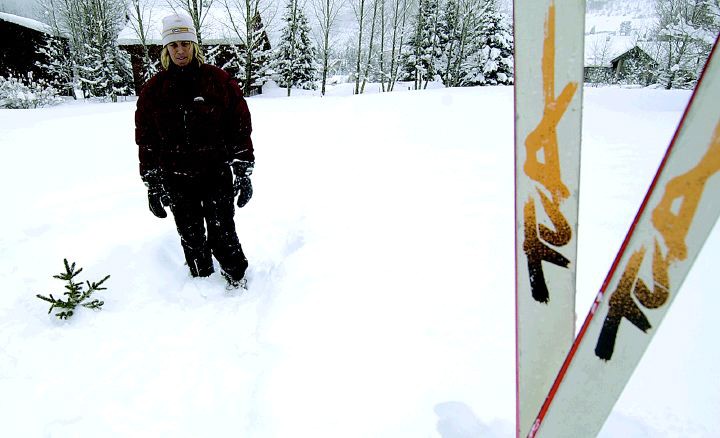 East Vail couple irked about stolen skis | VailDaily.com